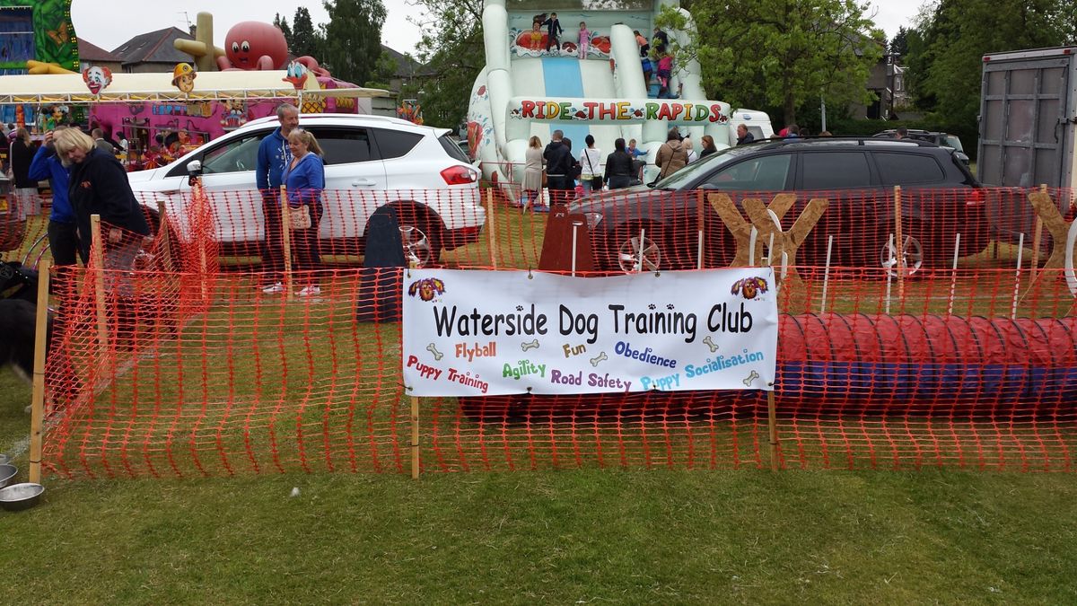 Waterside Dog Training Club